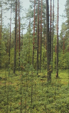 Prometheus Materials's biocement proves sound absorption capacities ...